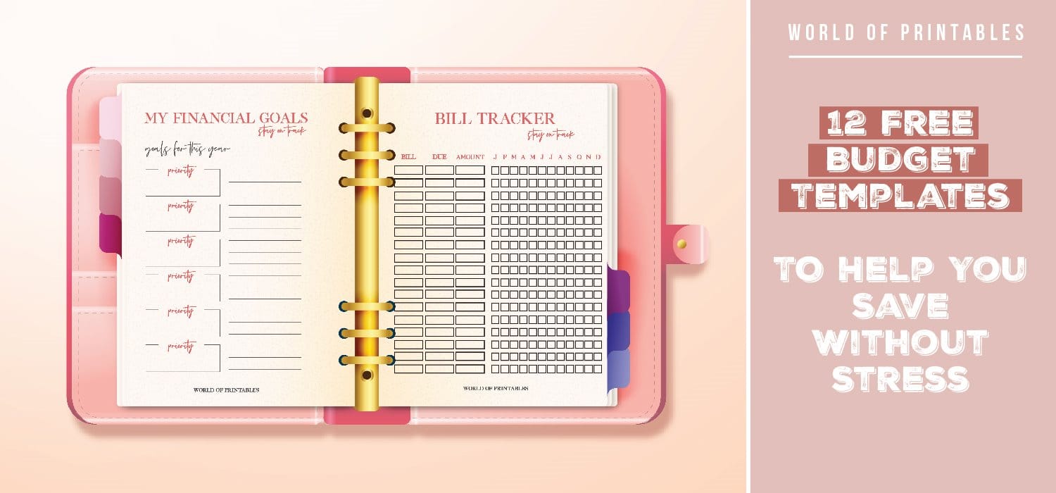 Paper Paper Party Supplies Monthly Financial Digital Budget Tracker