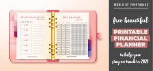 Free Beautiful Financial Planner To Help You Stay On Track in 2021
