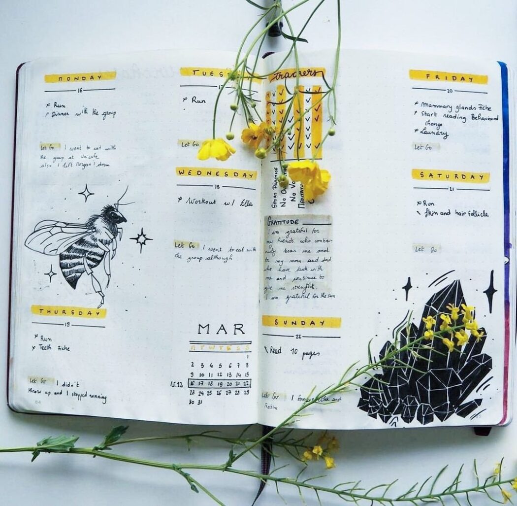 50+ Best March Bullet Journal Spread Ideas