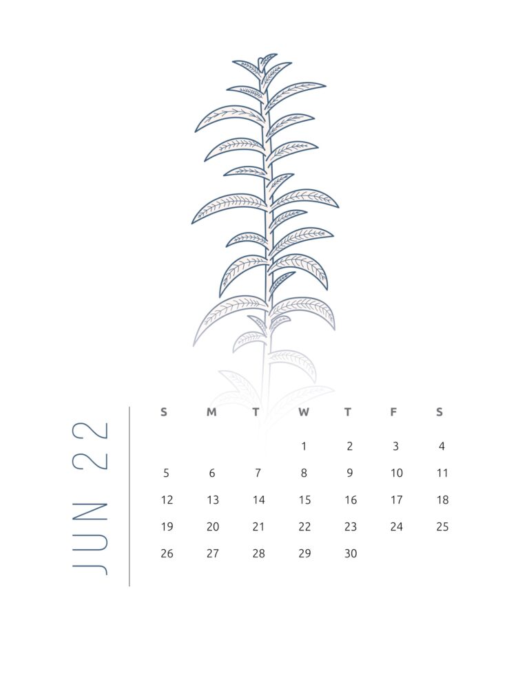 Free Printable June 2022 Calendars - 100's of Styles - All Free!