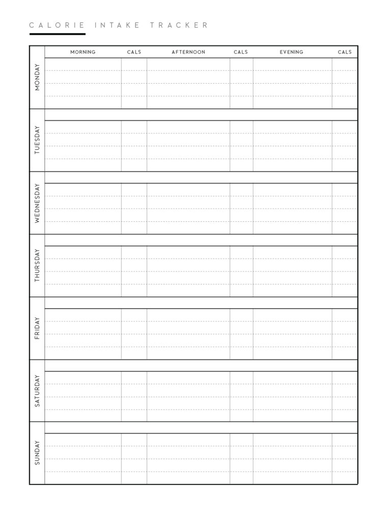 Download Free Calorie Counter PDF - World of Printables