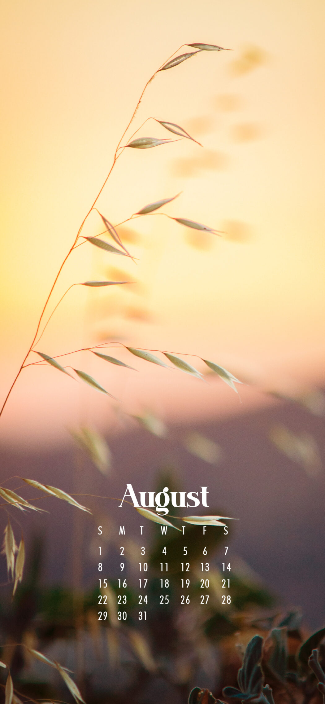 August Calendar Wallpaper - 47 Best Desktop & Phone Backgrounds