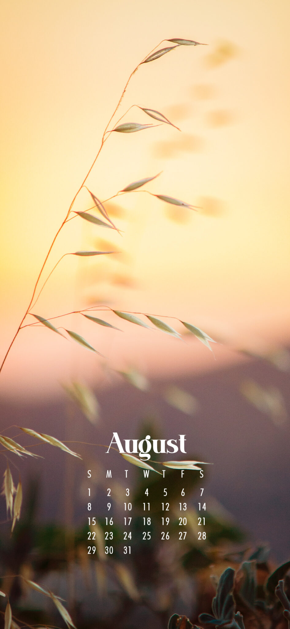 August Calendar Wallpaper - 47 Best Desktop & Phone Backgrounds