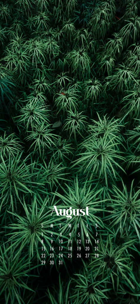 August Calendar Wallpaper - 47 Best Desktop & Phone Backgrounds