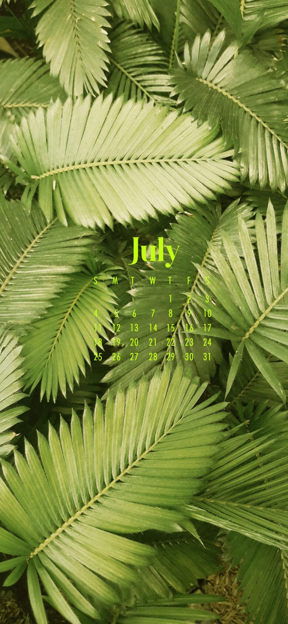 July Calendar Wallpaper - 80 Best Styles For Your Desktop Or Phone ...