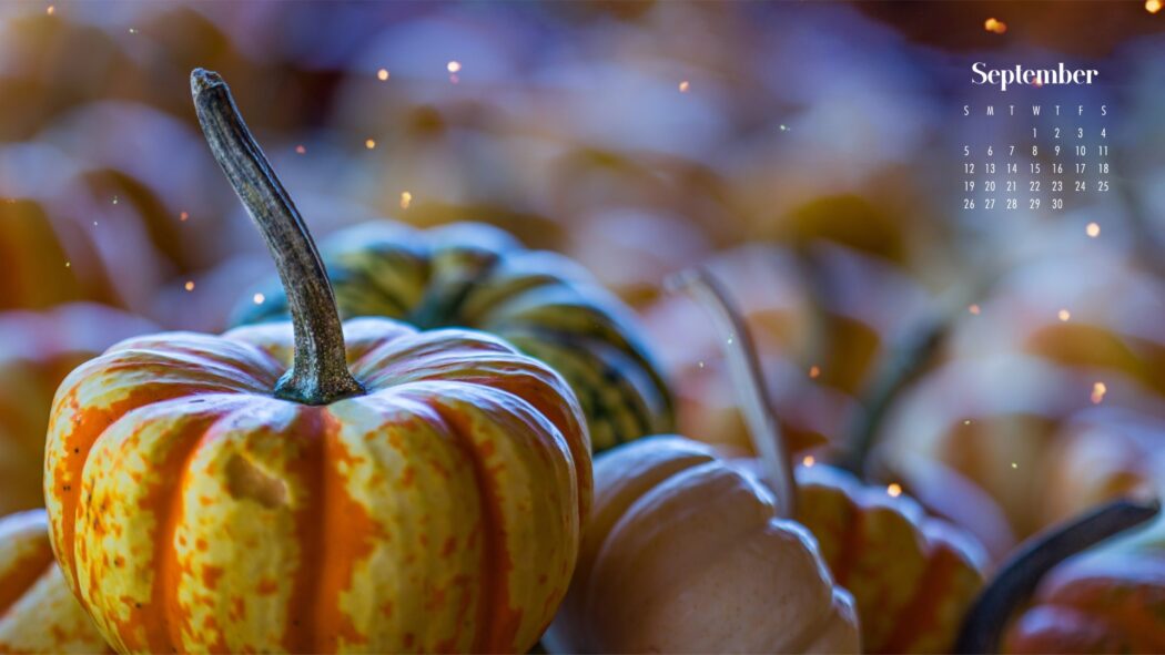 September Calendar Wallpaper - 38 Best Desktop & Phone Backgrounds