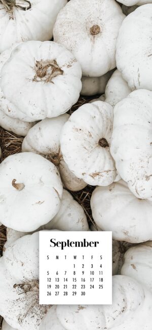 September Calendar Wallpaper - 38 Best Desktop & Phone Backgrounds