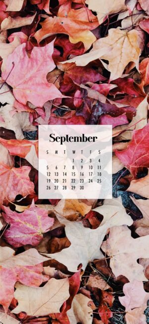 September Calendar Wallpaper - 38 Best Desktop & Phone Backgrounds