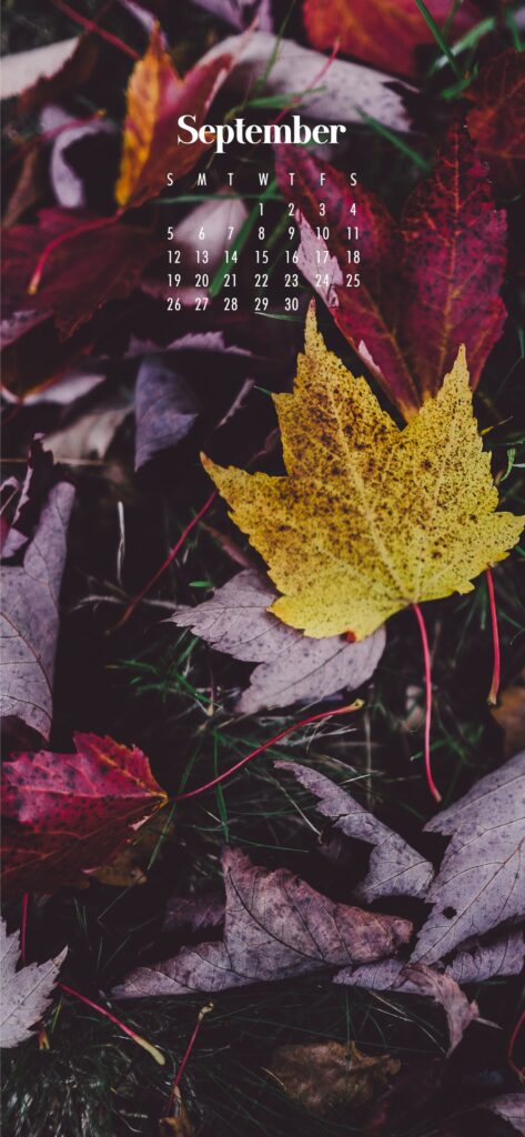 September Calendar Wallpaper - 38 Best Desktop & Phone Backgrounds