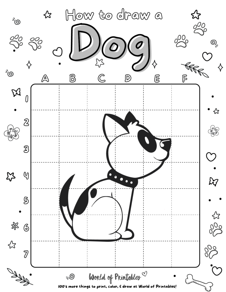 Make A Picture Of Your Pet Worksheet - Adriansonfifth