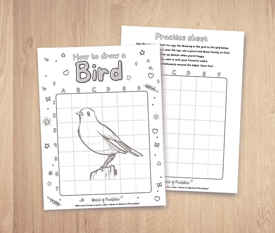 How To Draw A Bird | Easy Step By Step Printable Activities for Kids ...