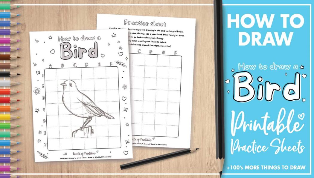 How To Draw A Bird | Easy Step By Step Printable Activities for Kids ...