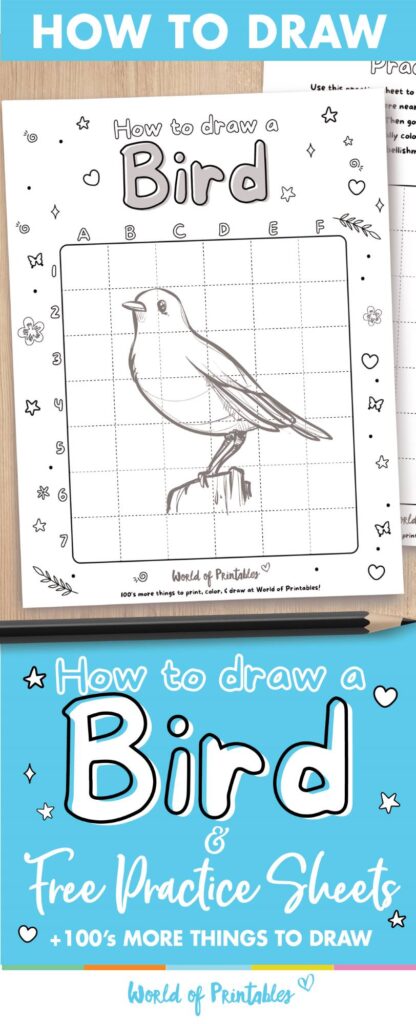 How To Draw A Bird | Easy Step By Step Printable Activities for Kids ...