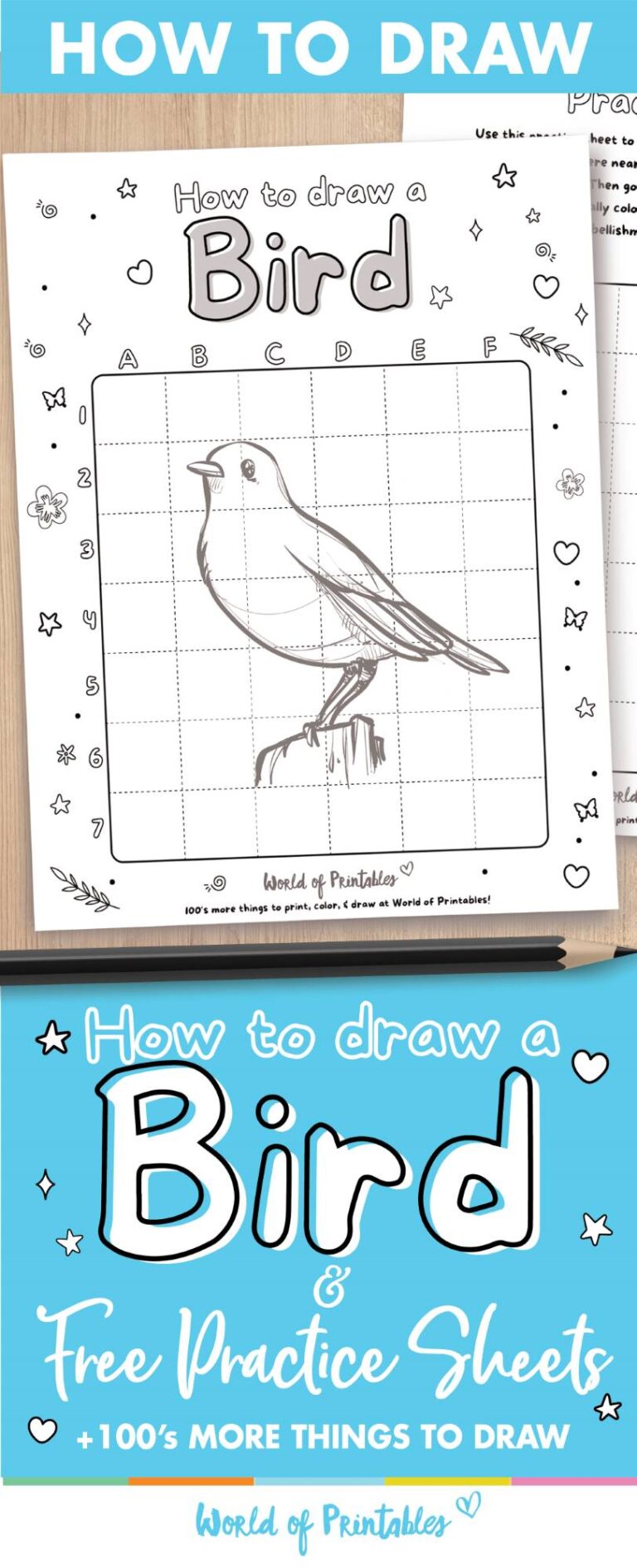 How To Draw A Bird | Easy Step By Step Printable Activities for Kids ...