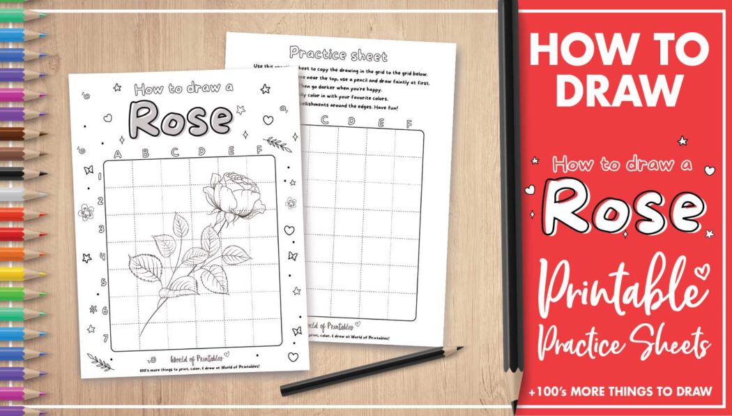 How To Draw A Rose | Easy Step By Step Printable Activities - World of ...