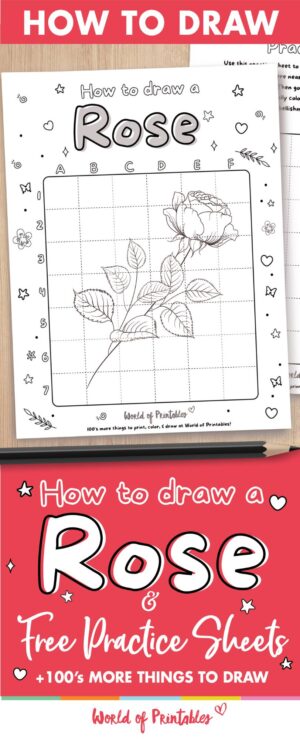 How To Draw A Rose | Easy Step By Step Printable Activities - World of ...