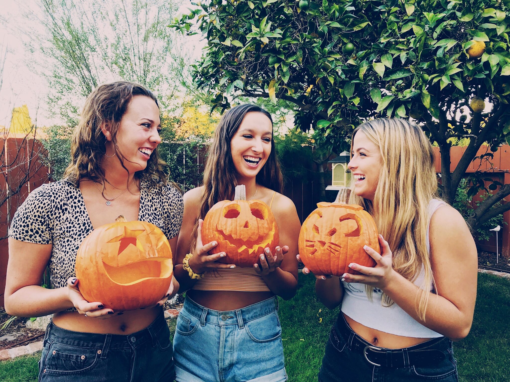 50 Easy Pumpkin Carving Stencils + The Ultimate Guide To Pumpkin Carving
