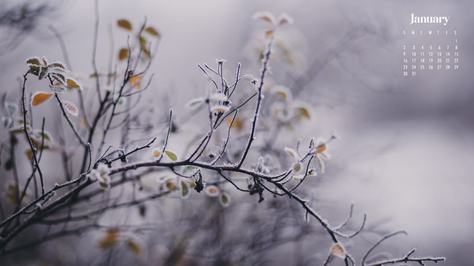 January Wallpaper | 60 Best Desktop & Phone Backgrounds - World of ...