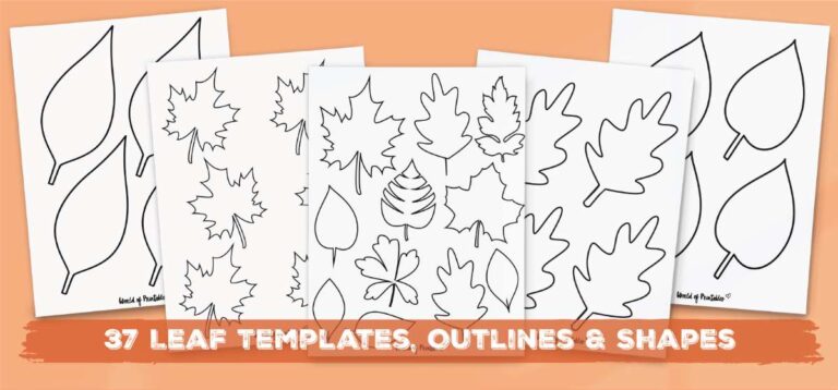 37 Printable Leaf Templates, Outlines & Shapes (Free) - World of Printables