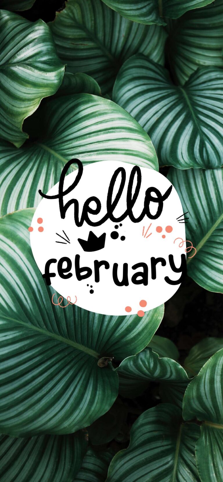 Hello February | 50 Aesthetic Wallpapers For Your Phone