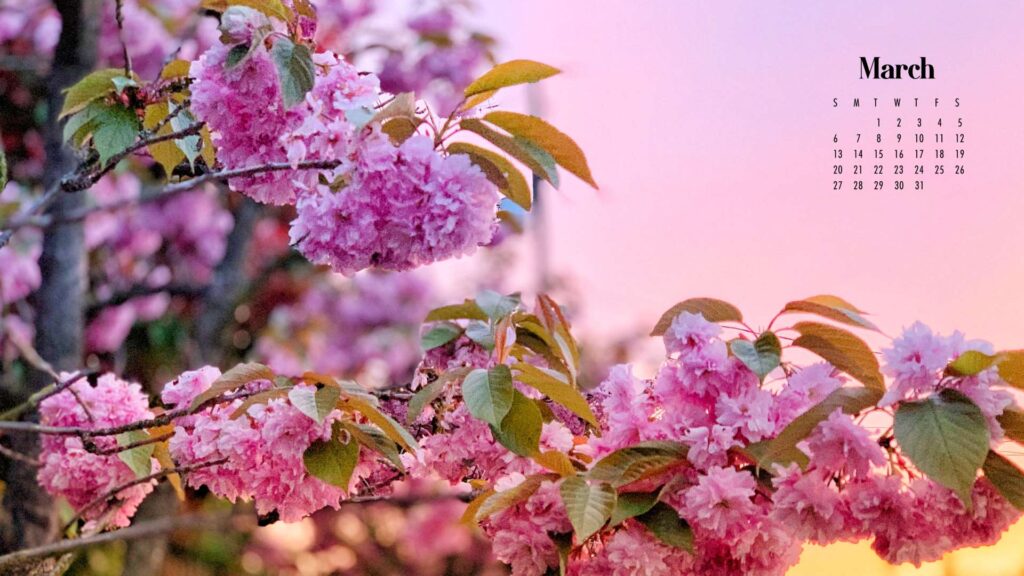 March Wallpaper Calendar