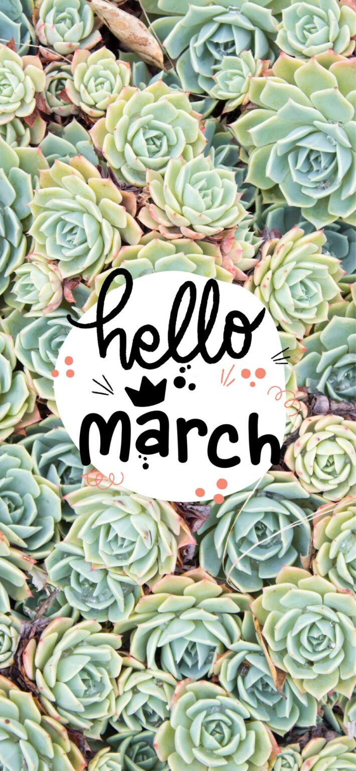 Hello March | 50 Aesthetic Wallpapers For Your Phone This Spring