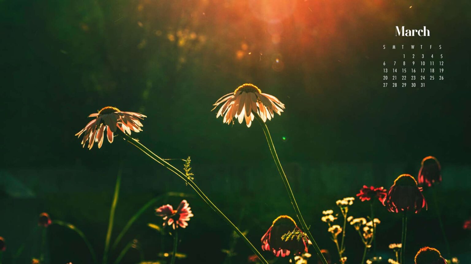 March Wallpaper | 85 Best Desktop & Phone March Backgrounds