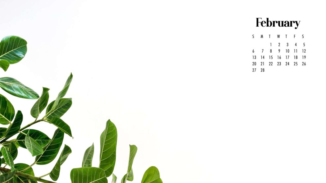 February Calendar Wallpaper | 60 Best Desktop & Phone Backgrounds