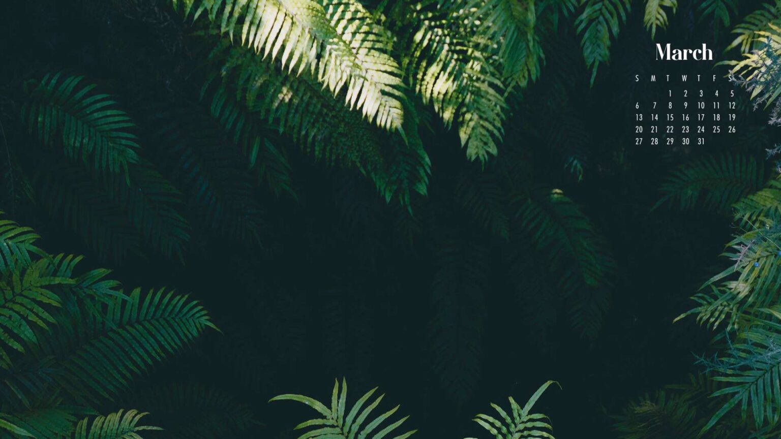 March Wallpaper | 85 Best Desktop & Phone March Backgrounds