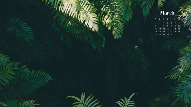 March Wallpaper | 85 Best Desktop & Phone March Backgrounds