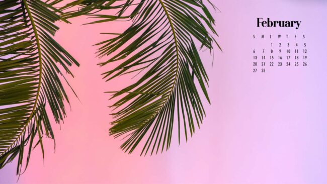 February Calendar Wallpaper | 60 Best Desktop & Phone Backgrounds