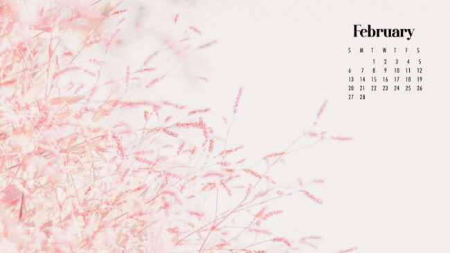 February Calendar Wallpaper | 60 Best Desktop & Phone Backgrounds