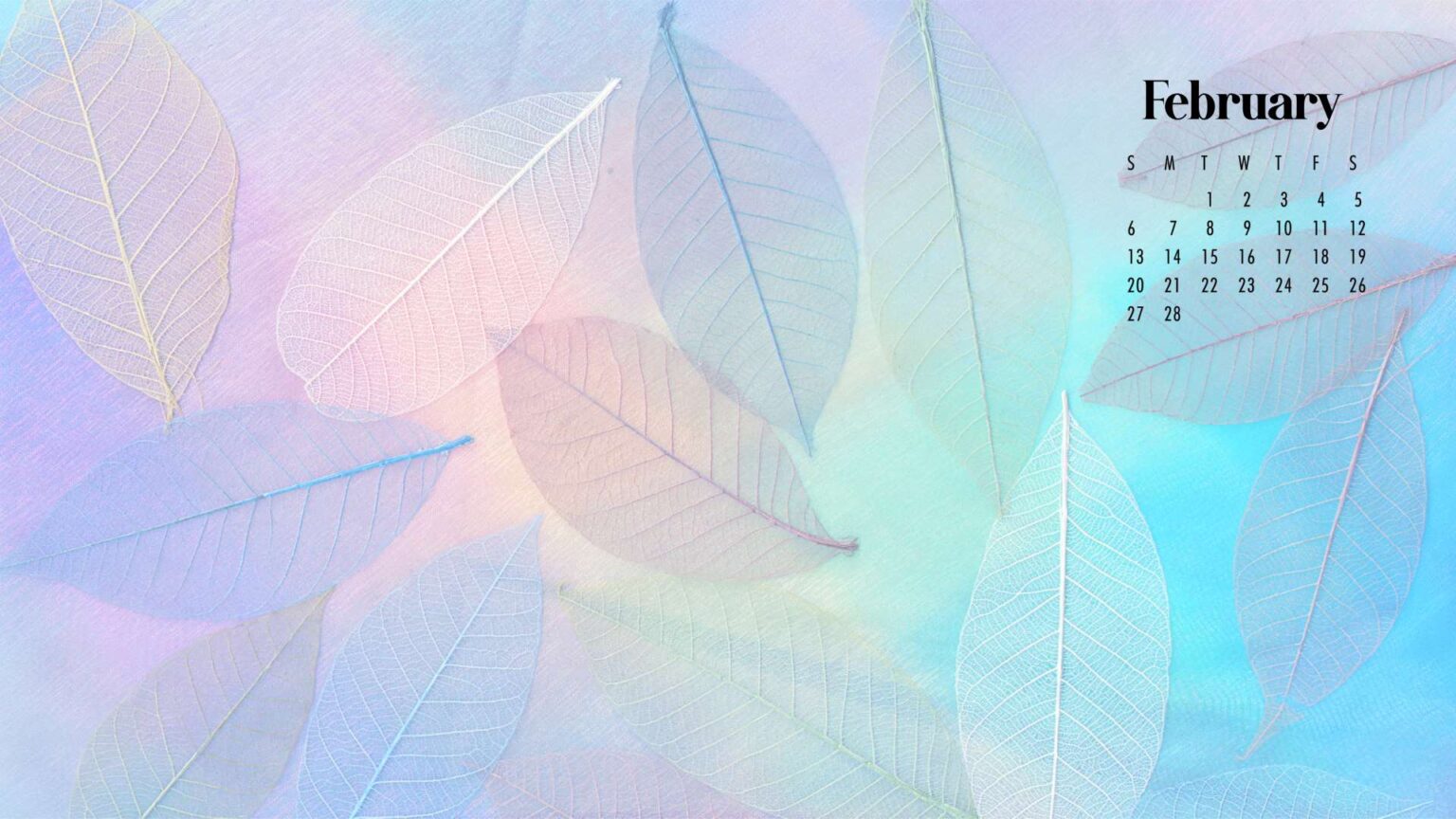 February Calendar Wallpaper | 60 Best Desktop & Phone Backgrounds