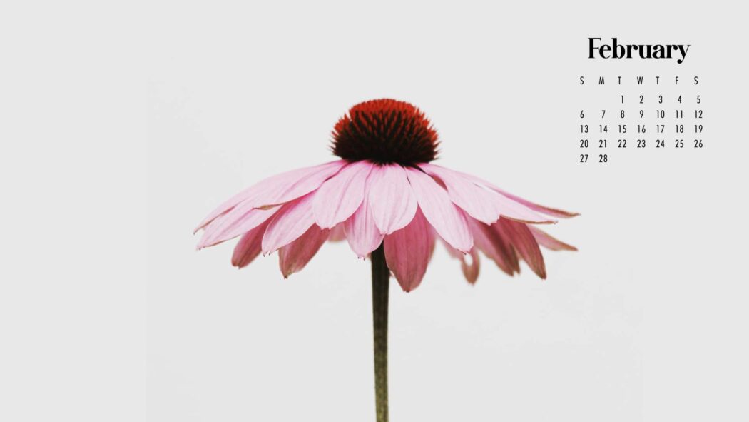February Calendar Wallpaper | 60 Best Desktop & Phone Backgrounds
