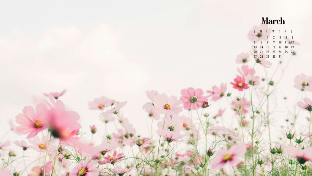 March Wallpaper | 90+ Best Desktop & Phone March Backgrounds