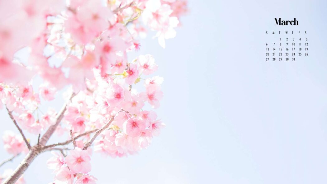 March Wallpaper | 85 Best Desktop & Phone March Backgrounds