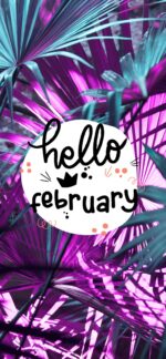Hello February | 50 Aesthetic Wallpapers For Your Phone