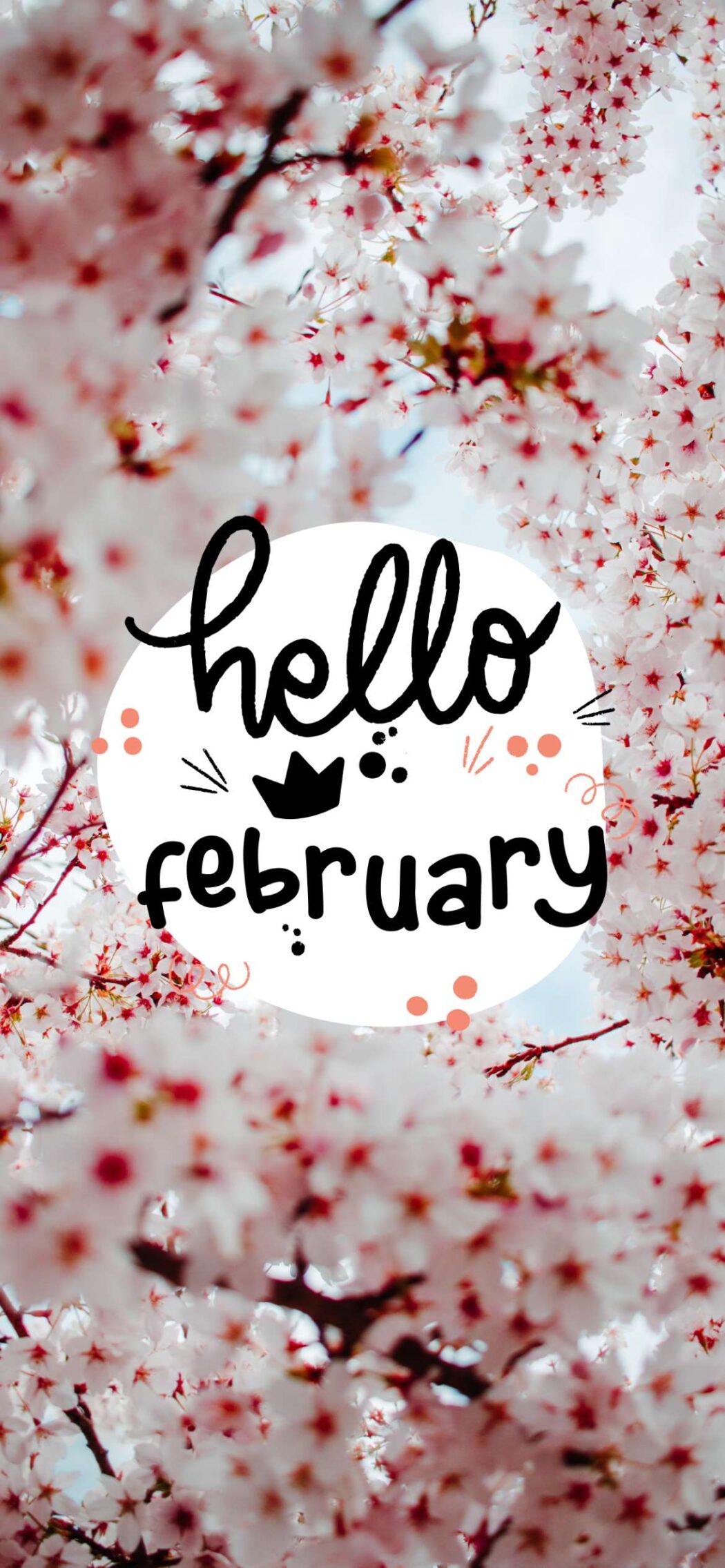 Hello February | 50 Aesthetic Wallpapers For Your Phone
