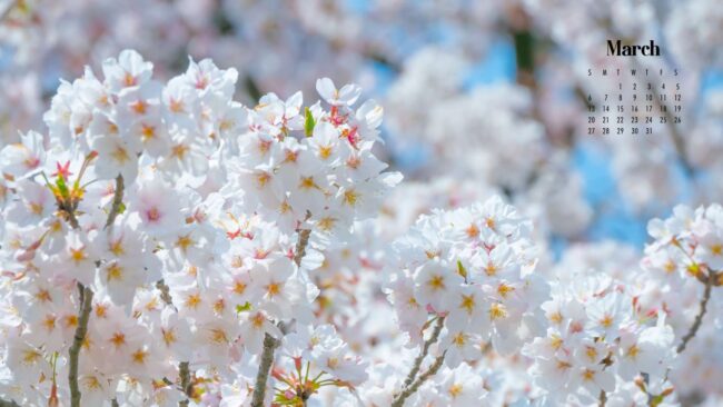 March Wallpaper | 85 Best Desktop & Phone March Backgrounds