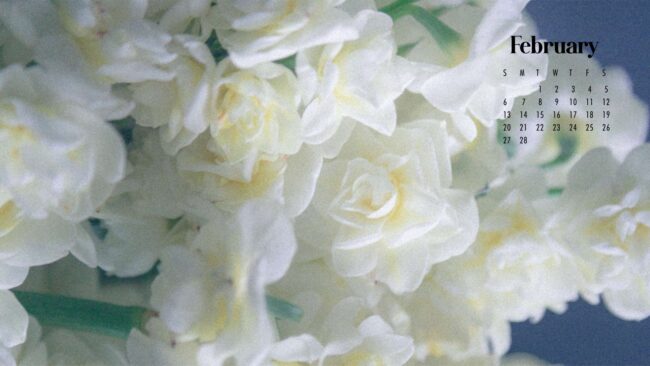February Calendar Wallpaper | 60 Best Desktop & Phone Backgrounds