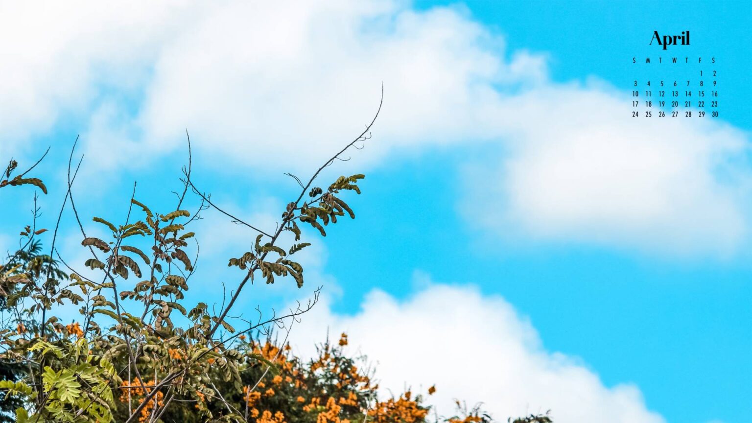 April Wallpaper | 65 Best Desktop & Phone April Backgrounds