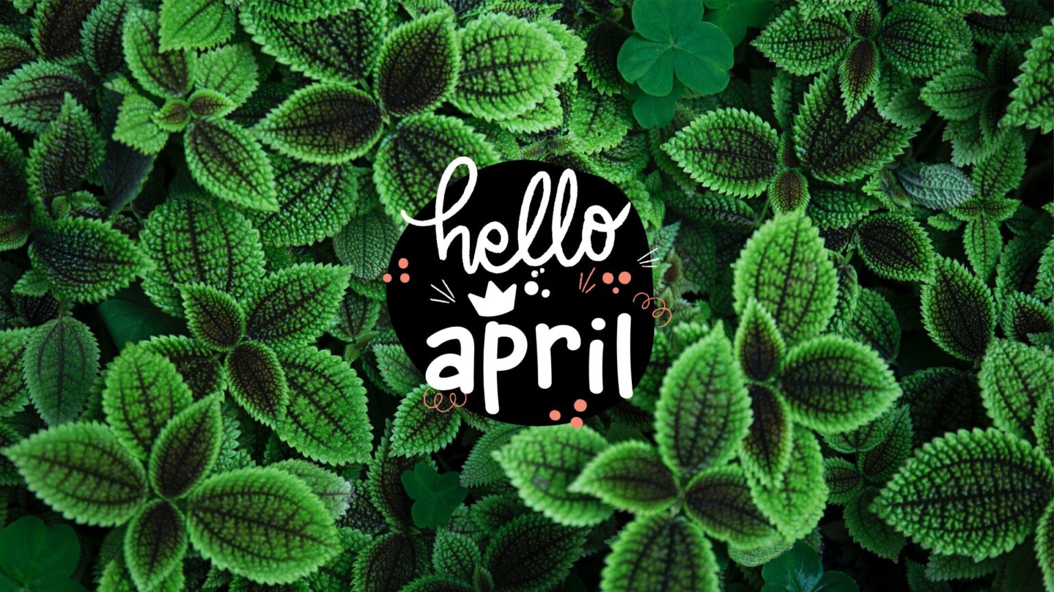 Hello April Wallpaper | 56 Aesthetic April Wallpaper For Phone & Desktop