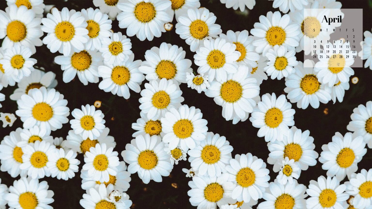 April Wallpaper | 65 Best Desktop & Phone April Backgrounds