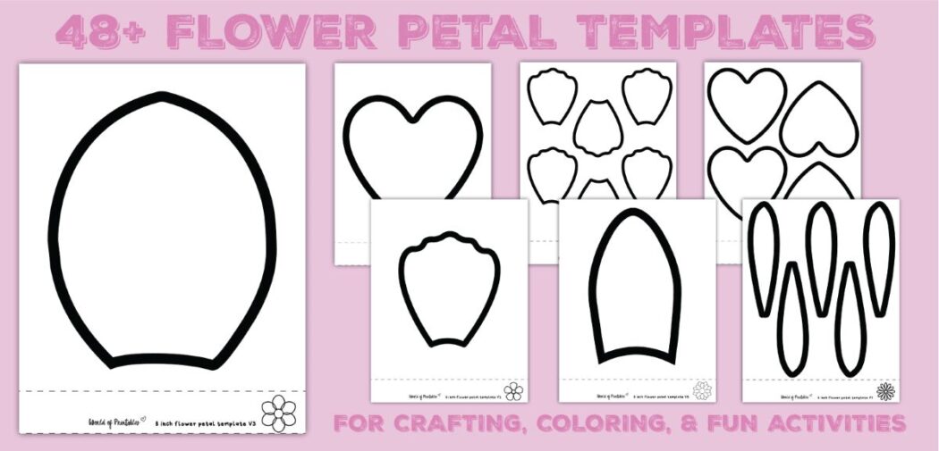 40+ Flower Petal Templates - World of Printables