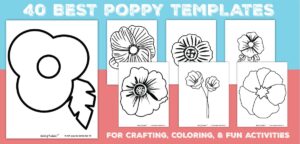 40 Poppy Templates: Remembrance Day Activities - World of Printables