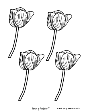 Tulip Template | 40 Best Printables To Choose From - World of Printables