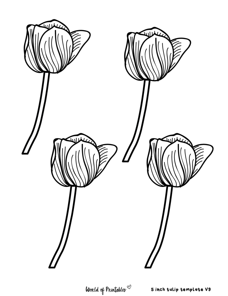 Tulip Template | 40 Best Printables To Choose From - World of Printables