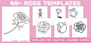 Rose Template: 68 Styles For Fun Activities & Crafts - World of Printables