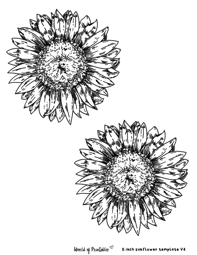 40 Best Sunflower Templates - World of Printables