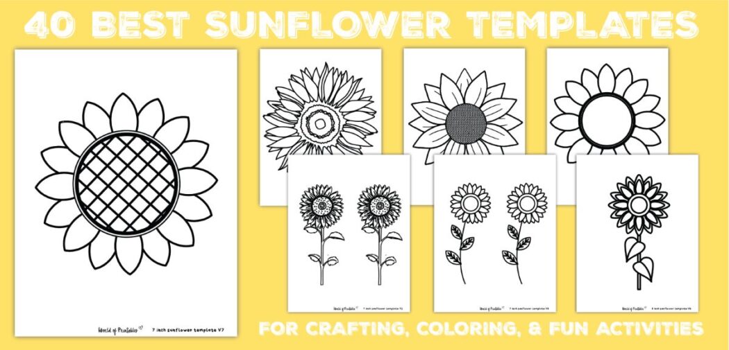 40 Best Sunflower Templates - World of Printables